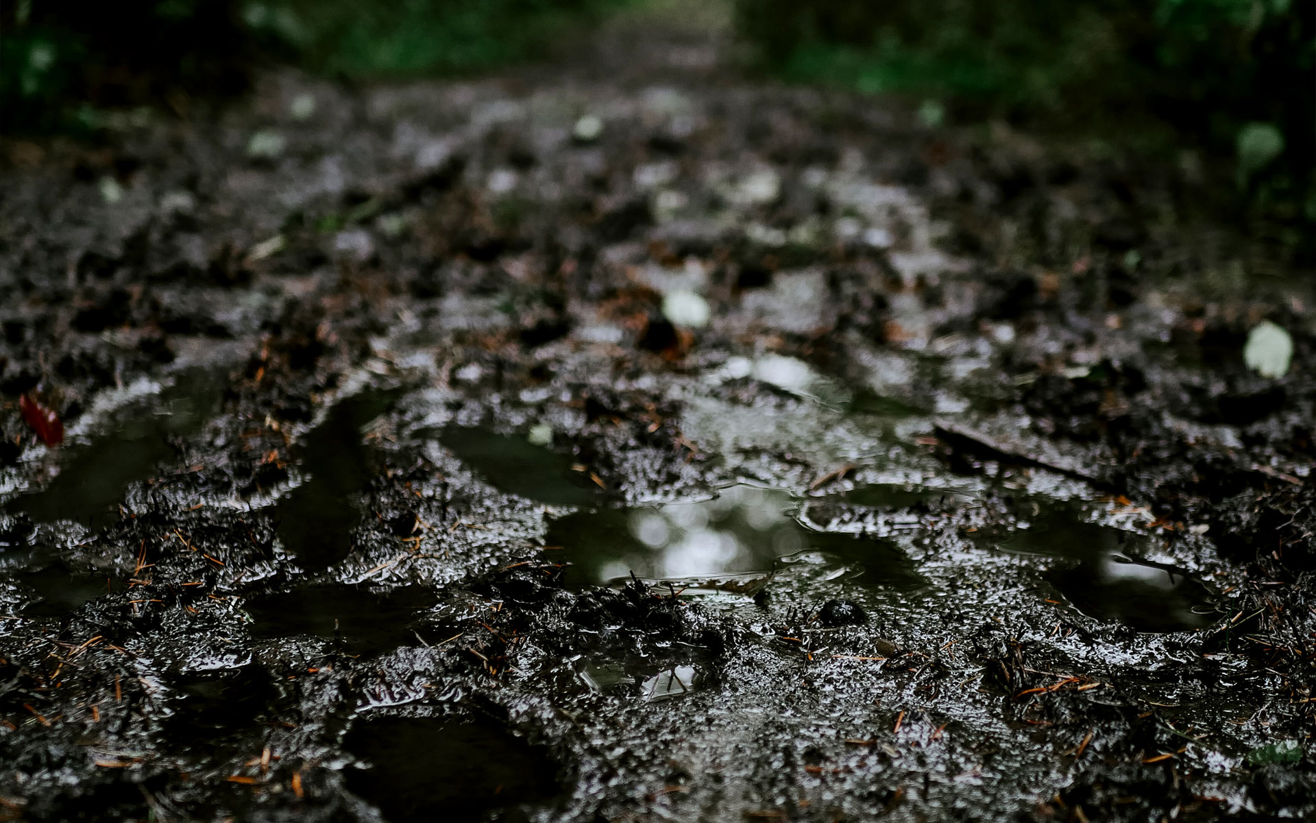 Boden • GAIA Geowissenschaften